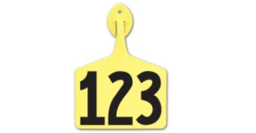 Allflex Electronic Identification | CattleTags.com