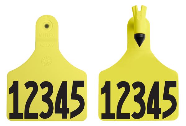 Allflex ATag Calf Layout 1R - Yellow | CattleTags.com