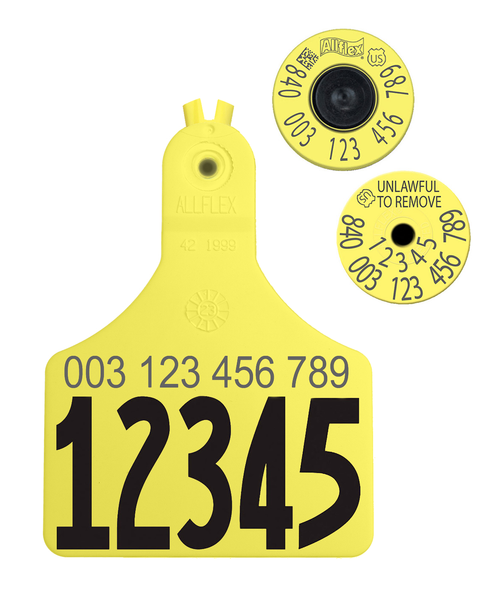 Allflex USDA ATag Calf FDX Matched Pair Set Layout 1 | CattleTags.com