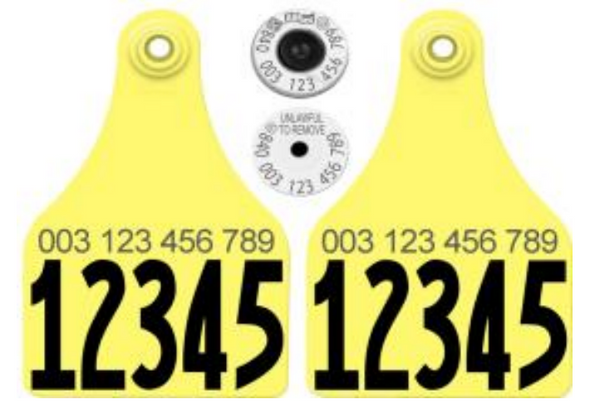 Allflex USDA Super Maxi HDX Matched Pair Set Layout 17 | CattleTags.com