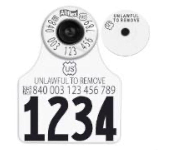 Allflex USDA Large HDX All-in-One Layout 2 | CattleTags.com