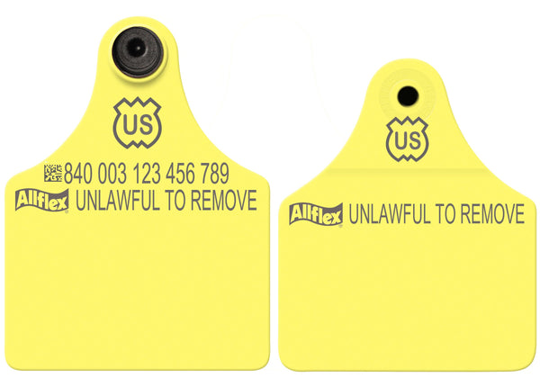 Allflex USDA Maxi Blank (Tamperproof) - Yellow | CattleTags.com