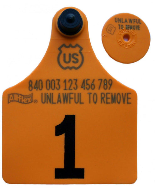 Allflex USDA Maxi Layout 1 (Tamperproof) - Yellow | CattleTags.com