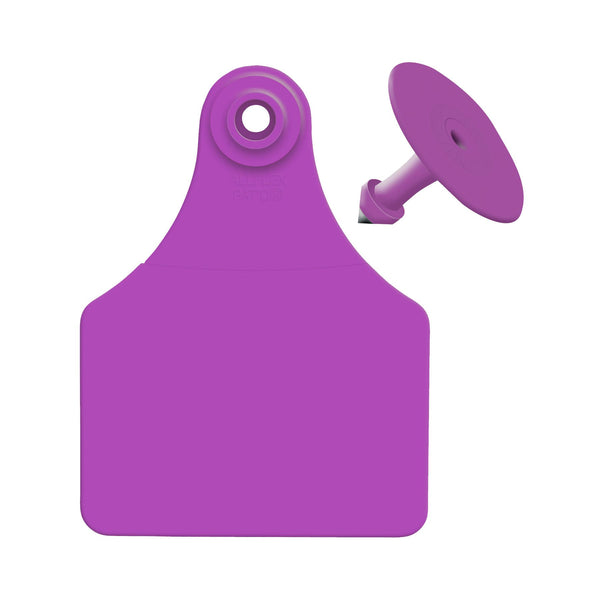 Allflex Large Blank in bags of 25 - Yellow | CattleTags.com