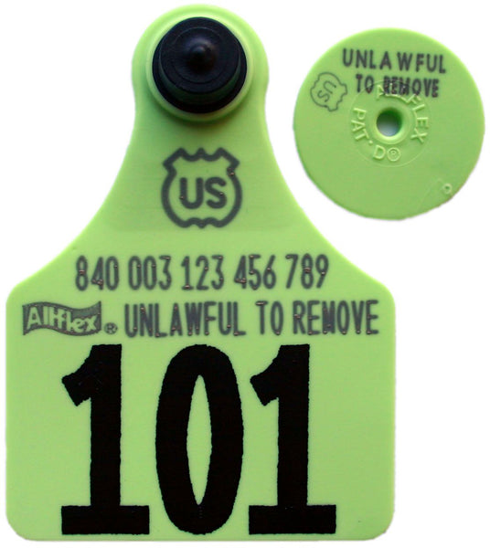 Allflex USDA Large Layout 1 (Tamperproof) - Yellow | CattleTags.com