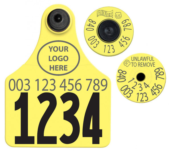 Allflex USDA Large HDX Matched Pair Set Layout 3 | CattleTags.com