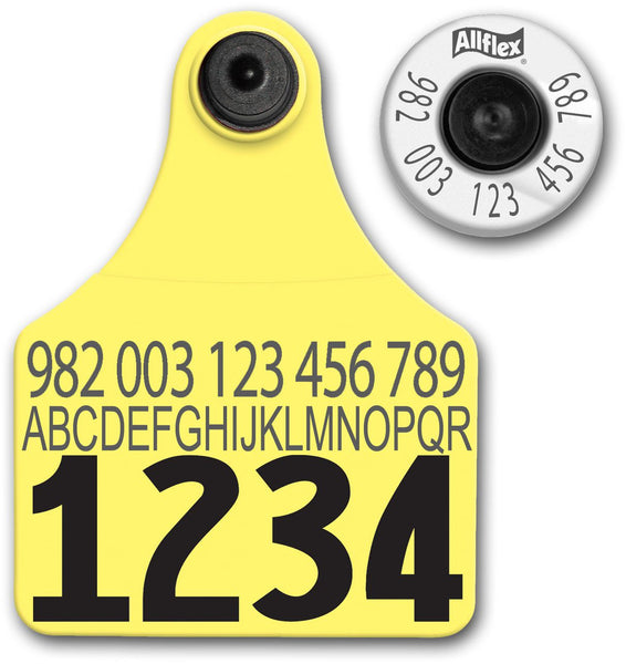 Allflex Large HDX Matched Pair Set Layout 5 | CattleTags.com