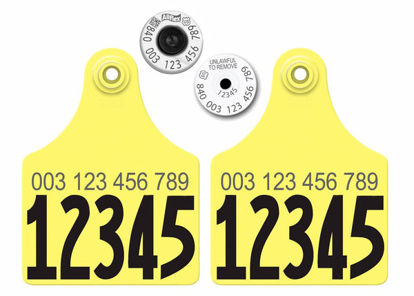 Allflex USDA Maxi HDX Matched Pair Set Layout 16 - Yellow | CattleTags.com