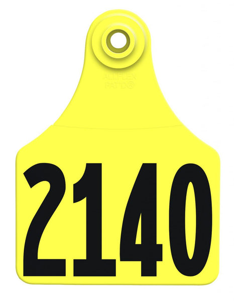 Allflex Large Layout 1 - Yellow | CattleTags.com