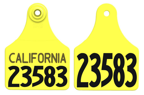 Allflex Large Layout 2R - Yellow | CattleTags.com