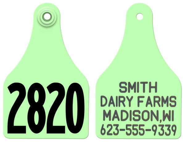 Allflex Super Maxi Layout 13 - Yellow | CattleTags.com