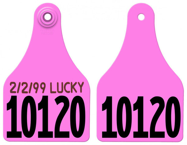 Allflex Super Maxi Layout 2R - Yellow | CattleTags.com