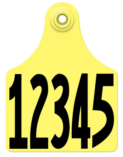 Allflex Maxi Layout 1 - Yellow | CattleTags.com