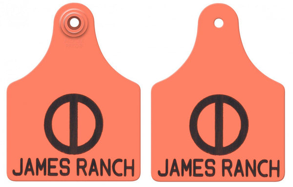 Allflex Maxi Layout 10 - Yellow | CattleTags.com