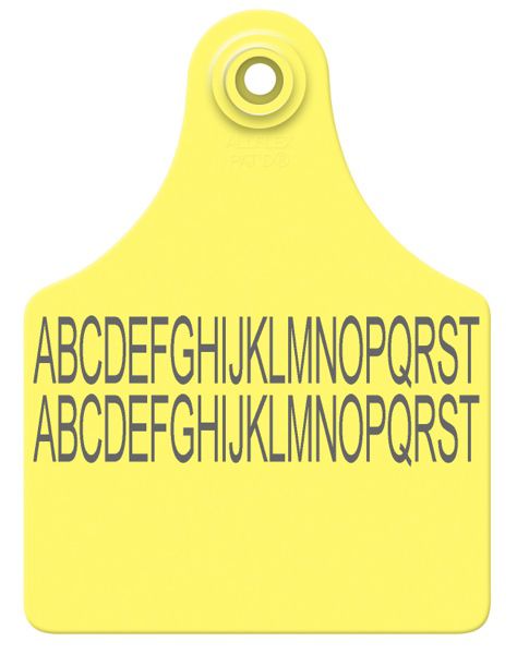 Allflex Maxi Layout 19 - Yellow | CattleTags.com