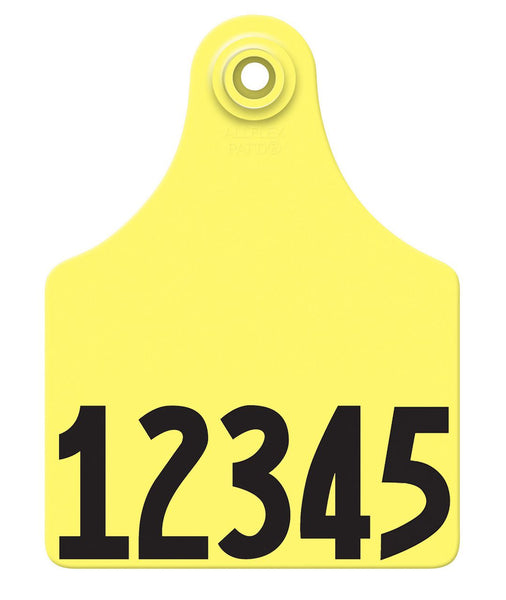 Allflex Maxi Layout 2 - Yellow | CattleTags.com