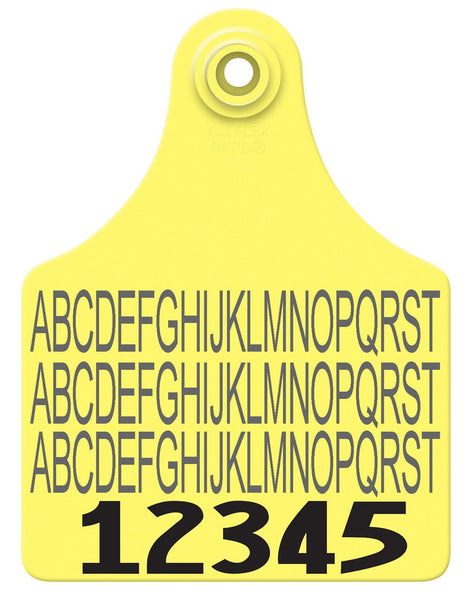 Allflex Maxi Layout 39 - Yellow | CattleTags.com