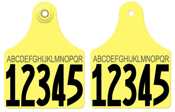 Allflex Maxi Layout 91 - Yellow | CattleTags.com